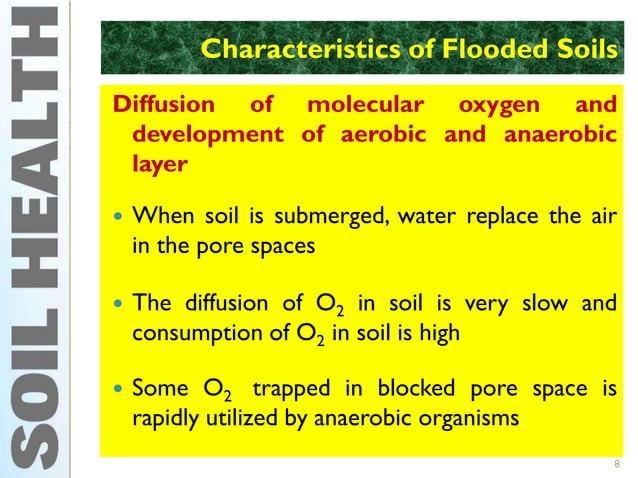 Flooded soils – formation, characteristics and management | PDF