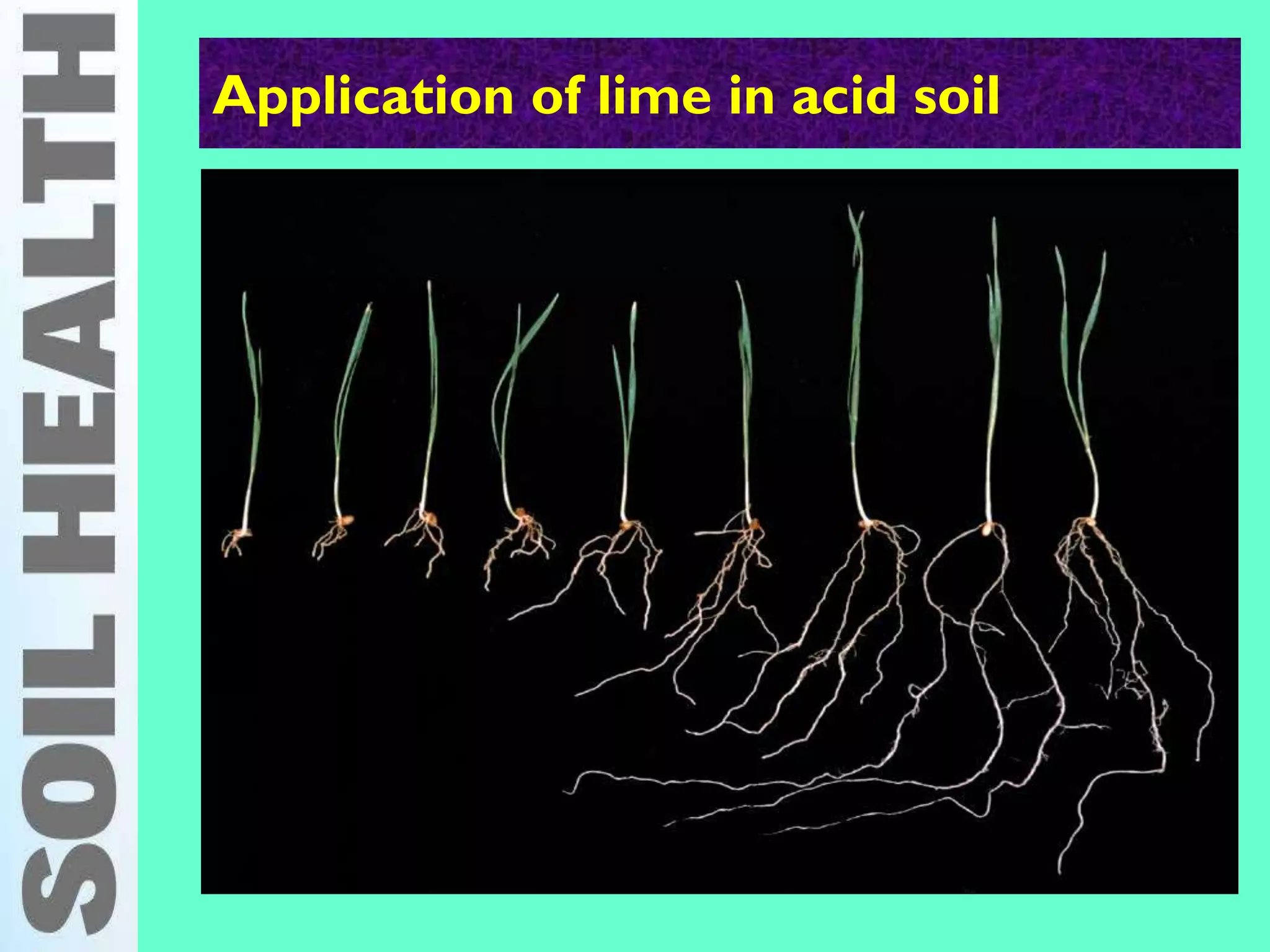 Acid soil and acid sulphate soil, genesis and characteristics | PDF