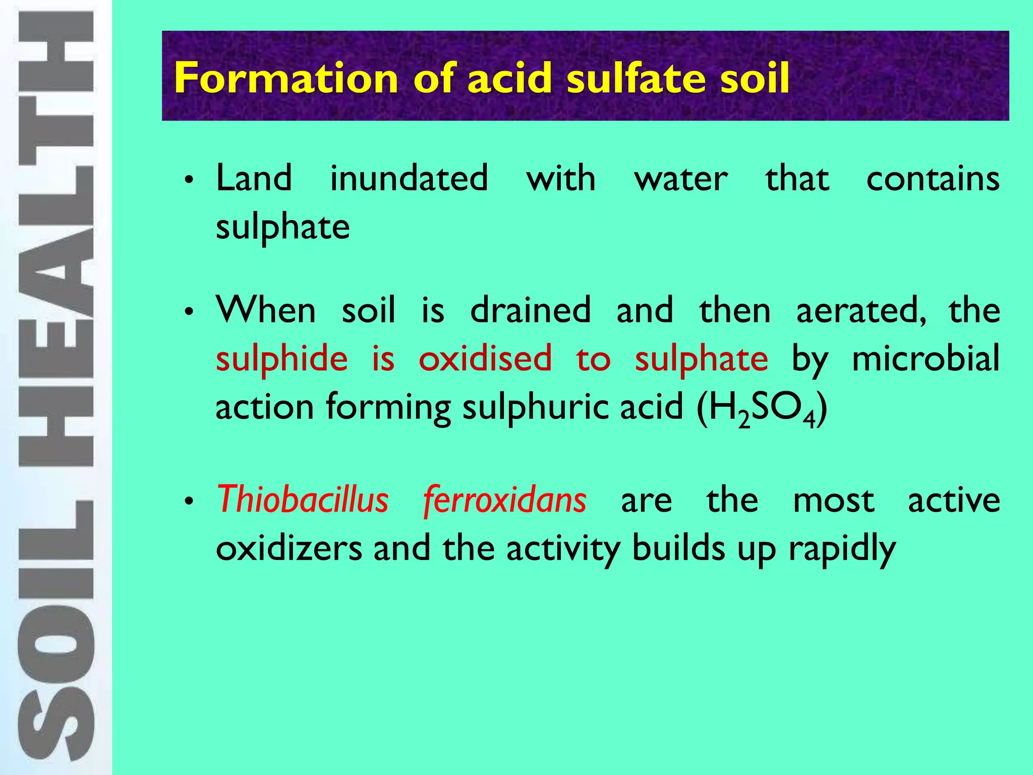 Acid soil and acid sulphate soil, genesis and characteristics | PDF