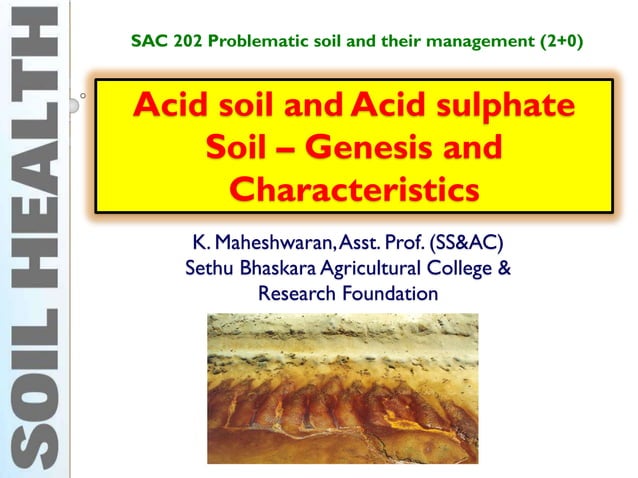 Acid soil and acid sulphate soil, genesis and characteristics | PDF