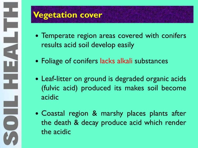 Acid soil and acid sulphate soil, genesis and characteristics | PDF
