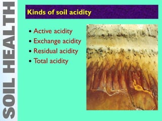 Acid soil and acid sulphate soil, genesis and characteristics | PDF