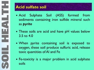 Acid soil and acid sulphate soil, genesis and characteristics | PDF