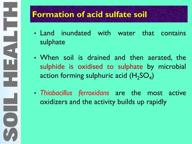 Acid soil and acid sulphate soil, genesis and characteristics | PDF