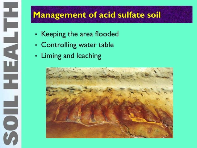 Acid soil and acid sulphate soil, genesis and characteristics | PDF