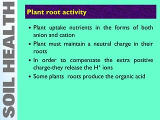 Acid soil and acid sulphate soil, genesis and characteristics | PDF