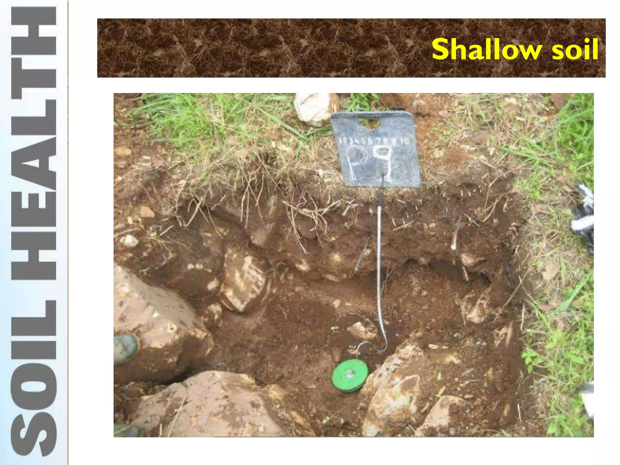 Soil crusting, soil compaction, sub soil hard pan, sand dunes and shallow soils ...