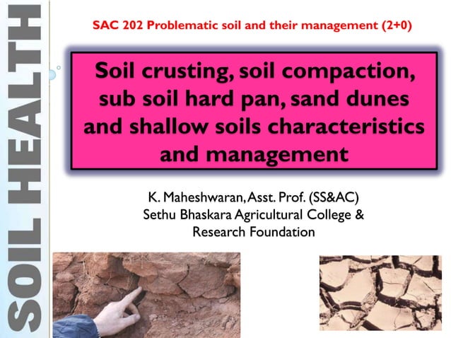 Soil crusting, soil compaction, sub soil hard pan, sand dunes and ...