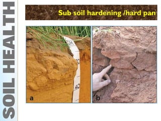 Soil crusting, soil compaction, sub soil hard pan, sand dunes and ...