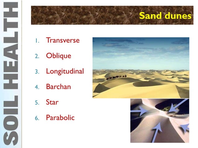 Soil crusting, soil compaction, sub soil hard pan, sand dunes and ...