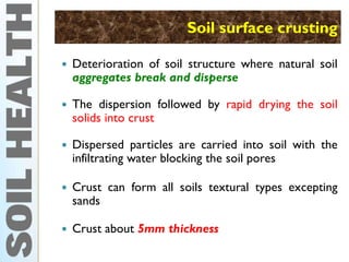 Soil crusting, soil compaction, sub soil hard pan, sand dunes and ...