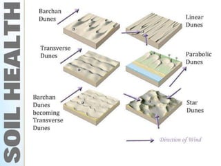 Soil crusting, soil compaction, sub soil hard pan, sand dunes and shallow soils ...