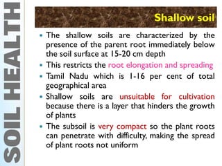 Soil crusting, soil compaction, sub soil hard pan, sand dunes and ...