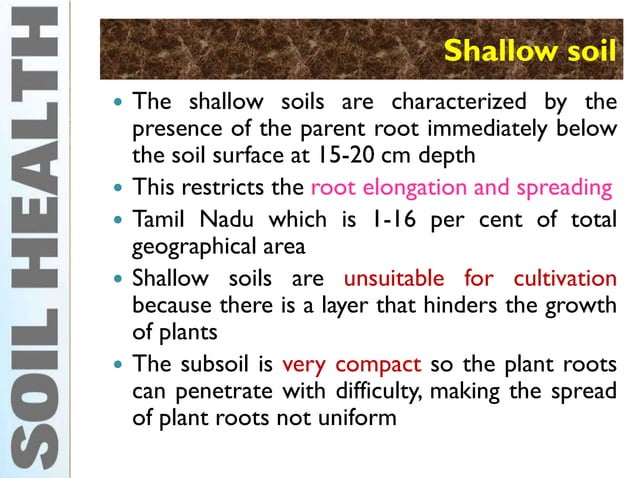 Soil crusting, soil compaction, sub soil hard pan, sand dunes and ...