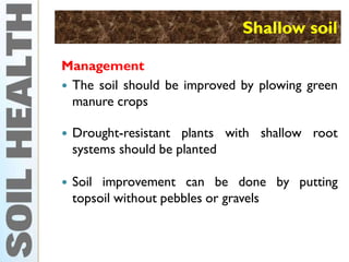 Soil crusting, soil compaction, sub soil hard pan, sand dunes and ...