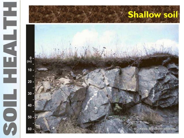 Soil crusting, soil compaction, sub soil hard pan, sand dunes and ...