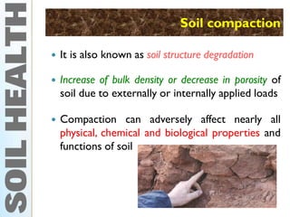 Soil crusting, soil compaction, sub soil hard pan, sand dunes and ...