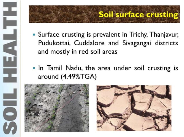 Soil crusting, soil compaction, sub soil hard pan, sand dunes and ...