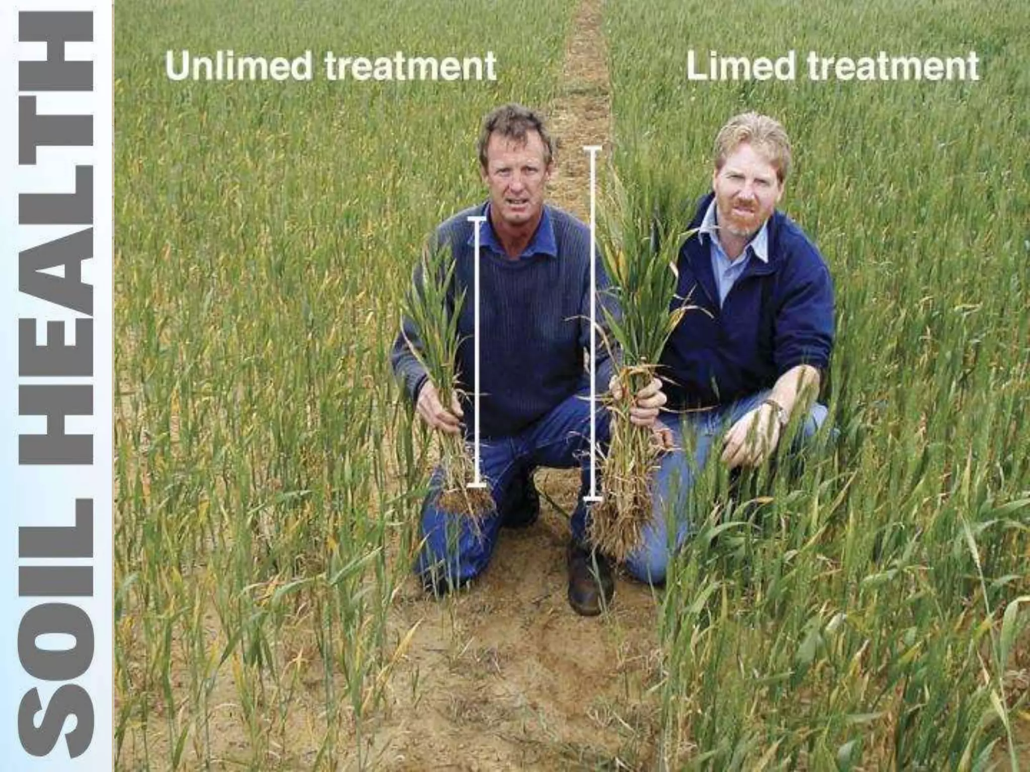 Lime requirement of acid soil, liming materials, reclamation and ...