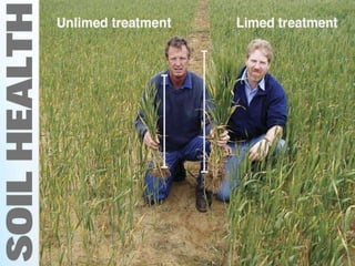 Lime requirement of acid soil, liming materials, reclamation and ...