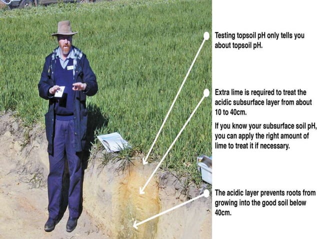 Lime requirement of acid soil, liming materials, reclamation and ...