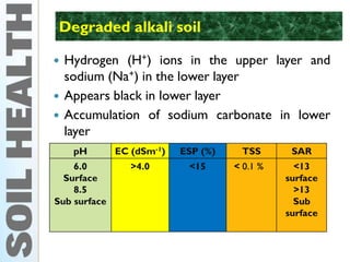 Formation & Classification of salt affect soils | PDF