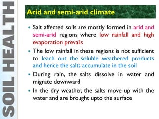 Formation & Classification of salt affect soils | PDF