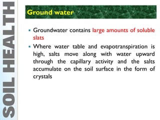 Formation & Classification of salt affect soils | PDF