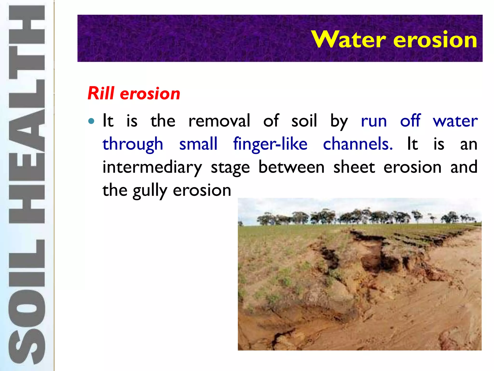 Eroded soil – genesis, types and characteristics water sheet, rill ...