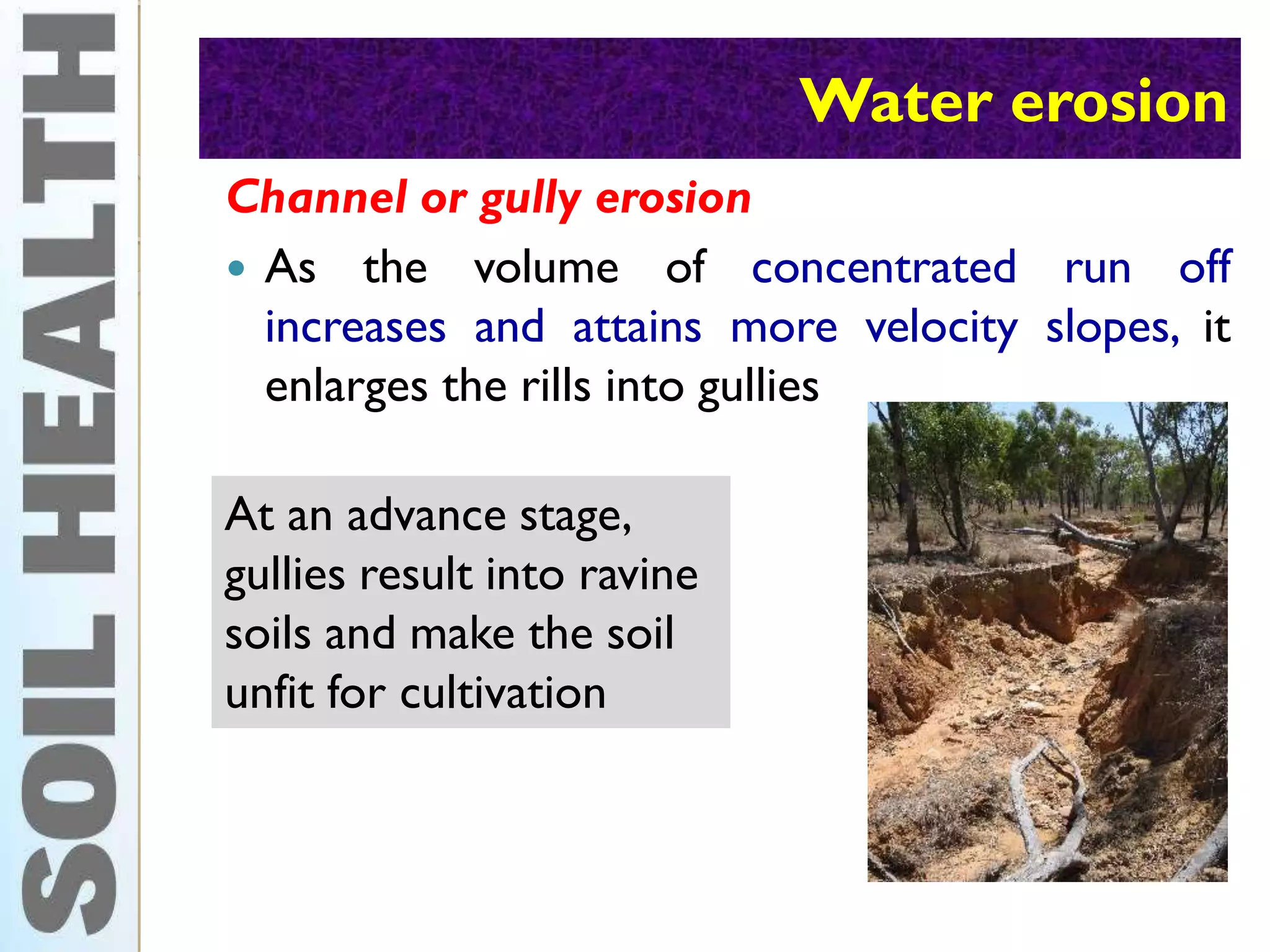 Eroded soil – genesis, types and characteristics water sheet, rill ...