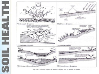 Eroded soil – genesis, types and characteristics water sheet, rill ...