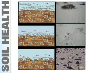 Eroded soil – genesis, types and characteristics water sheet, rill ...