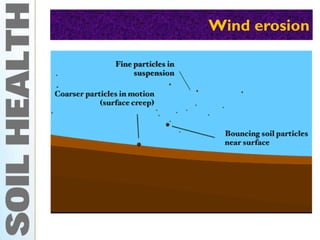 Eroded soil – genesis, types and characteristics water sheet, rill ...