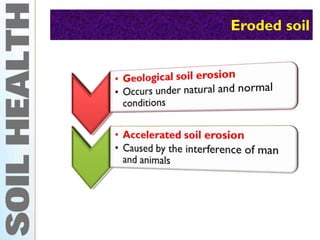 Eroded soil – genesis, types and characteristics water sheet, rill, gully, ravines, wind ...