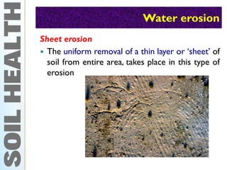 Eroded soil – genesis, types and characteristics water sheet, rill ...