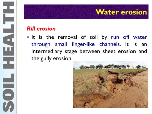 Eroded soil – genesis, types and characteristics water sheet, rill ...