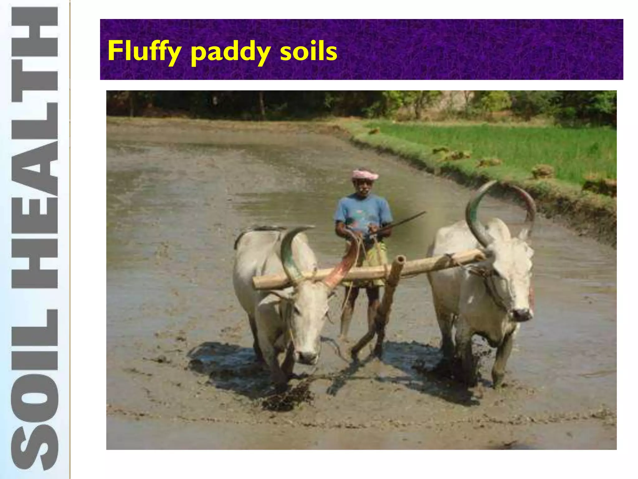 Soil physical constraints – slow permeable, excessively permeable soils ...