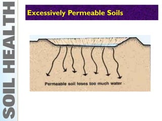 Soil physical constraints – slow permeable, excessively permeable soils ...