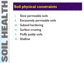 Soil physical constraints – slow permeable, excessively permeable soils ...