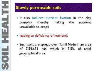Low Permeable Soil
