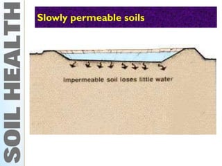 Low Permeable Soil