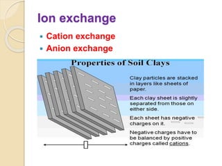 Sources of charges in soil | PPTX