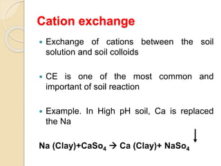 Sources of charges in soil | PPTX