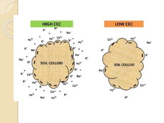 Sources of charges in soil | PPTX
