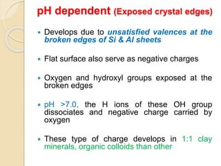 Sources of charges in soil | PPTX