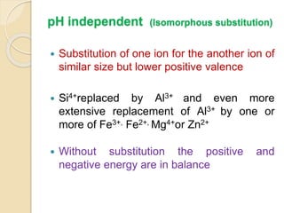 Sources of charges in soil | PPTX