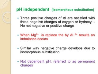 Sources of charges in soil | PPTX
