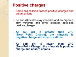 Sources of charges in soil | PPTX