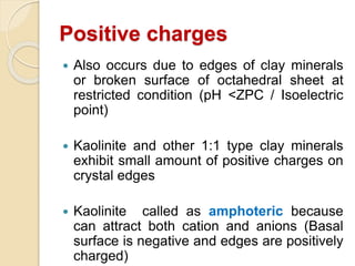 Sources of charges in soil | PPTX