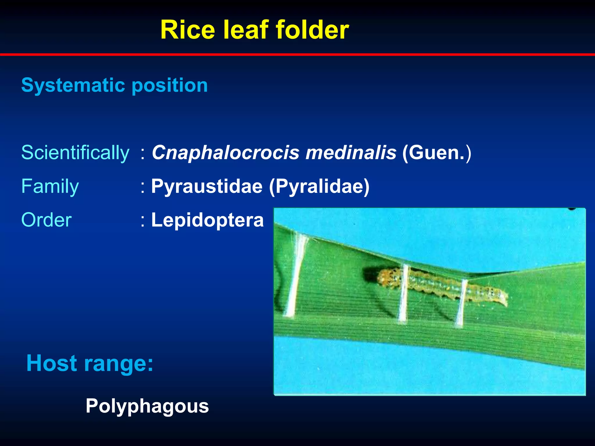 Lec. 2 rkp pcgm_paddy | PPT